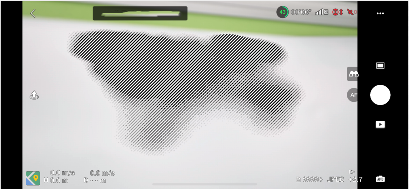 Zebra Stripes Appear in the Camera Live View